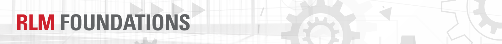 Raymond Lean Management Training